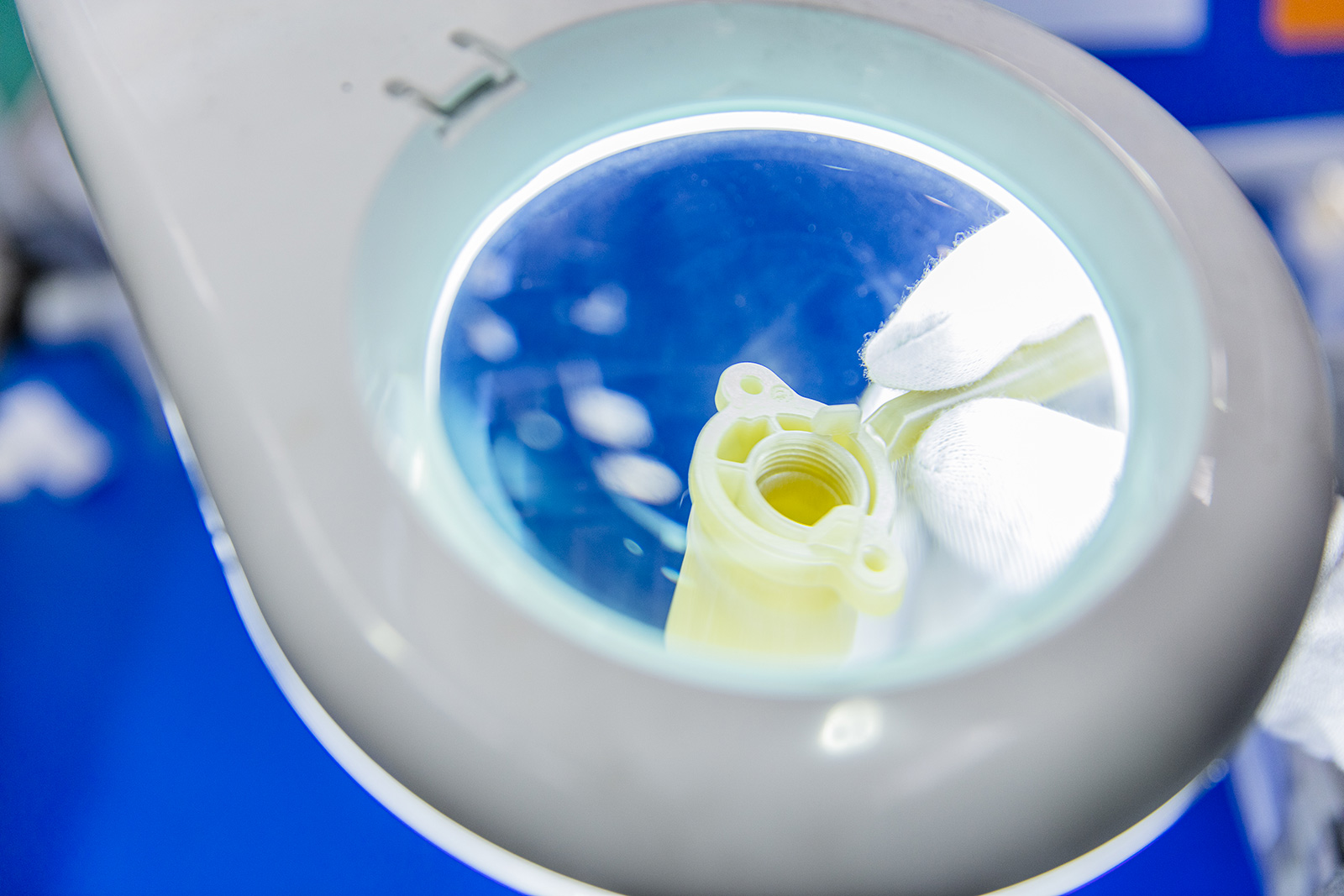 WildHo | Wilden | Evoluzione naturale della plastica